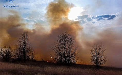 На Уманщині вогонь знищив 3 гектари сухої трави Новости Section Ukr Net