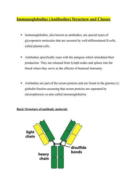 Immunoglobulins Useful Lecture Notes Immunoglobulins Antibodies