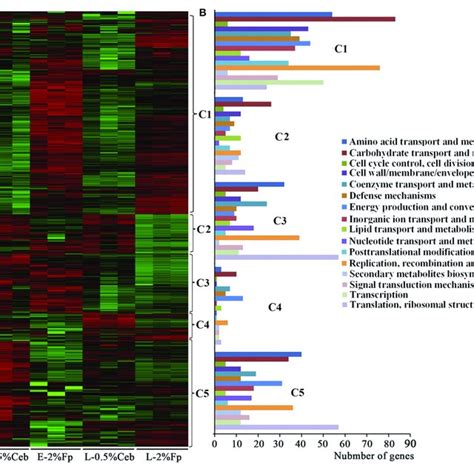 Hierarchical Clustering A And Functional Category B Analysis Of