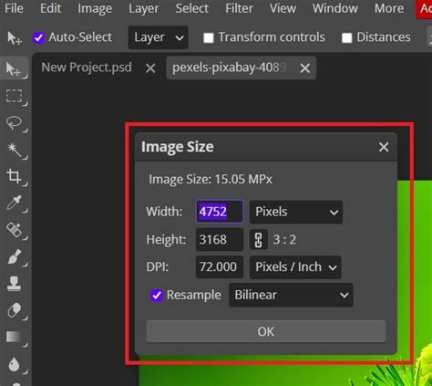 How To Resize An Image In Photopea Edits How To Resize An Image In Photopea Edits