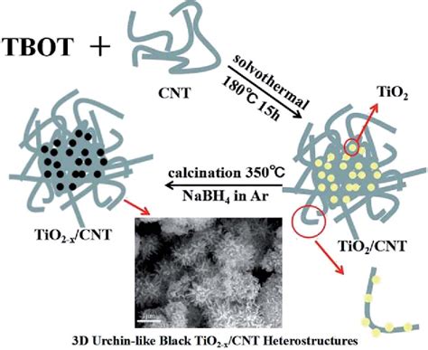 Figure 5 From 3d Urchin Like Black Tio2−x Carbon Nanotube