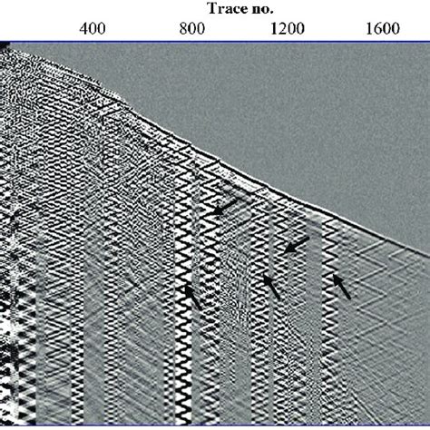 a 2d vsp field data set acquired with the das system download