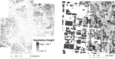 Spatial Distribution Of Vegetation In 3 D Space Unit M Download