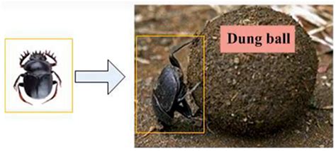 The Application Of An Improved LESS Dung Beetle Optimization In The Intelligent Topological
