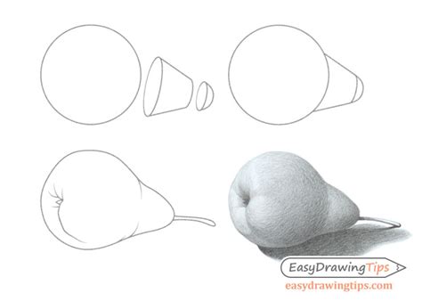 How To Draw A Realistic Pear Tutorial EasyDrawingTips