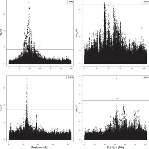 Genome Wide Plot For Association Of Snp With Feet And Legs Disorders