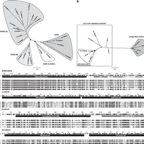 M Coffee Based Sequence Clustering And Structural Analysis Of Download Scientific Diagram
