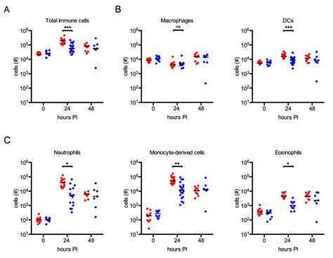 Immune Cell Infiltration Is Greater In Female Mice Than Male Animals