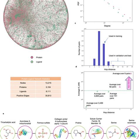 Drug Target Interaction Network A The Drug Target Interaction Network Download Scientific