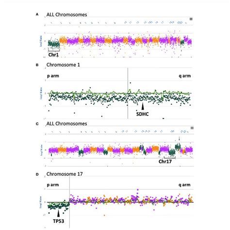 Somatic Oncopanel Copy Number Alterations In Subject 3 And Subject 4 Download Scientific
