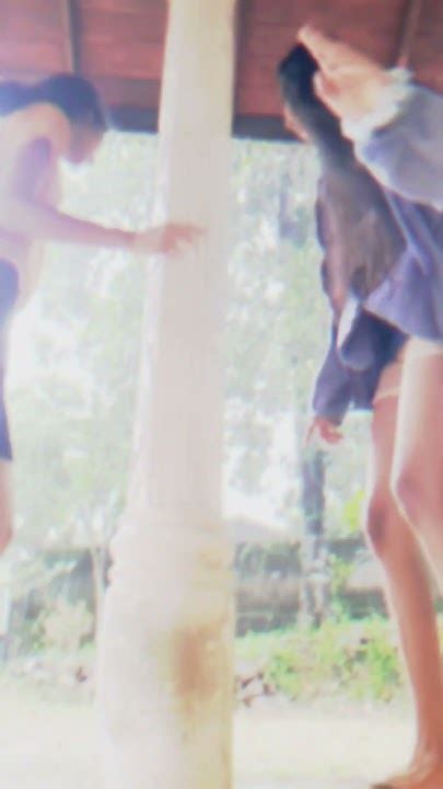 සොයා ලබා ගත යුතු නිදහස් සතුට 🤍 Youtube