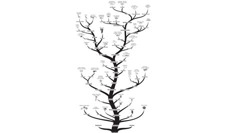 Introduction To Molecular Evolution Experiment 21 From Investigating Biology Through Inquiry