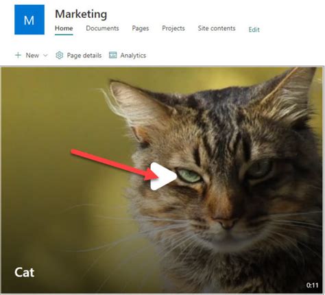 how to embed stream videos on a sharepoint page sharepoint maven