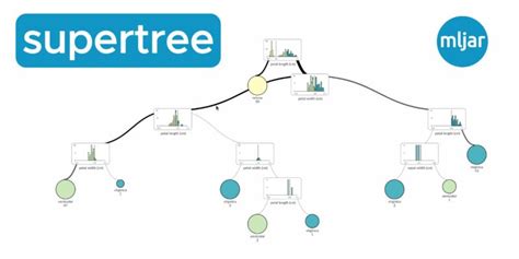 Mike Tamir Phd On Linkedin Github Mljarsupertree Visualize