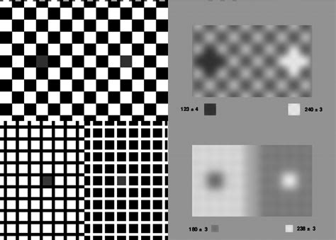 B The Top Row Shows Checkerboard Illusion Input On The Left The Right