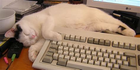 The Many Advantages Of Being A Lazy Impatient Programmer Dev Community