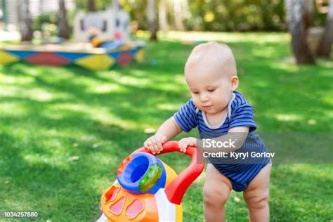 귀여운 작은 소년 워커 장난감 뒤뜰에서 녹색 잔디 잔디에 걸을 학습 아기 웃으면서 데 재미에 밝고 화창한 날 야외 공원에서 첫