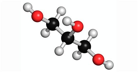 Classification Of Carbohydrates With Definition Types Meat Technology