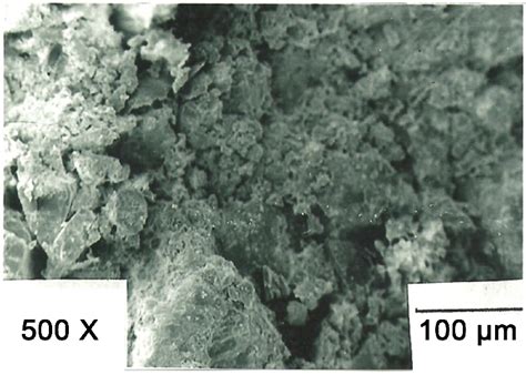 Sem Photograph Of Corroded Surface Of Cnmmc Containing 12 Wt