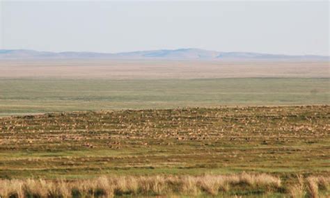 Төв зүүн аймгуудын нутгаар хүйтэн байна