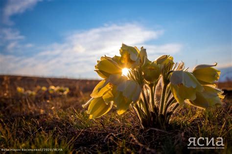 Страстная неделя — 2024 значение что можно и нельзя делать приметы — ЯСИА