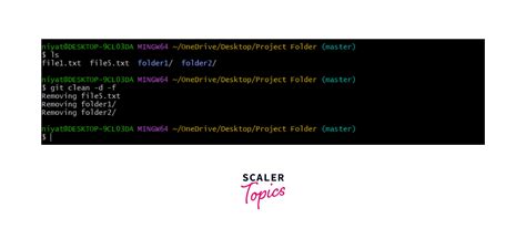 Remove Untracked Files Git Scaler Topics