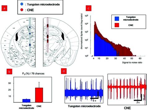 Spontaneous Multiunit Activity Acute Recording Using Two Electrodes In
