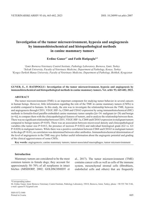 Pdf Investigation Of The Tumor Microenvironment Hypoxia And Angiogenesis By