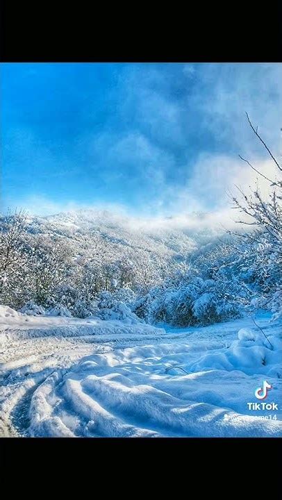 Samtredia Sofeli Ofeti Youtube