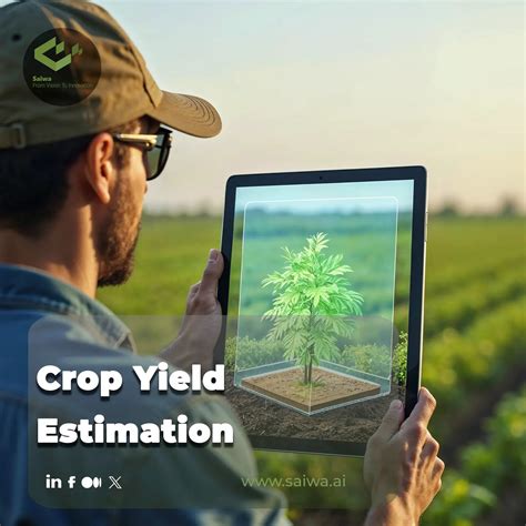 Crop Yield Estimation A New Era Of Agricultural Insight