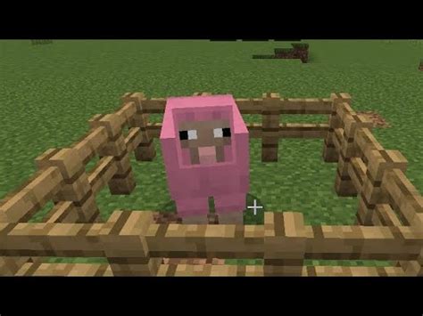 Encontré Una Oveja Rosa Natural Minecraft Youtube