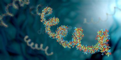 Translation Protein 3d Stock Illustrations 175 Translation Protein 3d