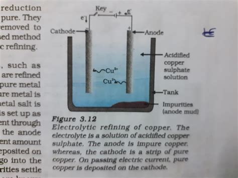 Electrochemistry Grade 10 At Tracy Dibenedetto Blog