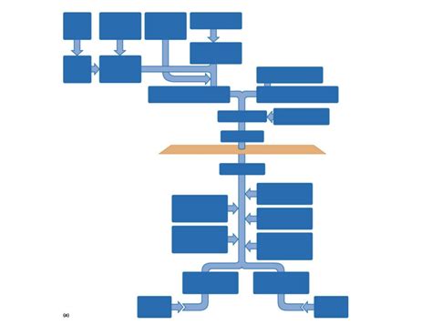Chapter 19 Lab Exam Pt 20 Diagram Quizlet