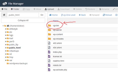 What Is Cgi Explanation About The Cgi Bin File Slviki Org