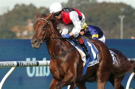 His Time To Shine Gerald Ryan Has Big Spring Targets For Grebeni