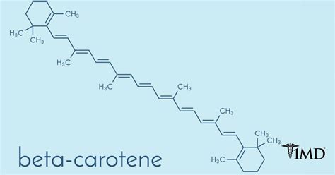 Your Guide To Beta Carotene And Its Benefits 1md Nutrition™