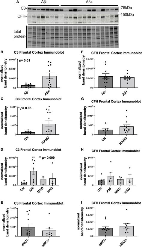 Complement Component 3 And Complement Factor H Protein Levels Are Altered In Brain Tissues From