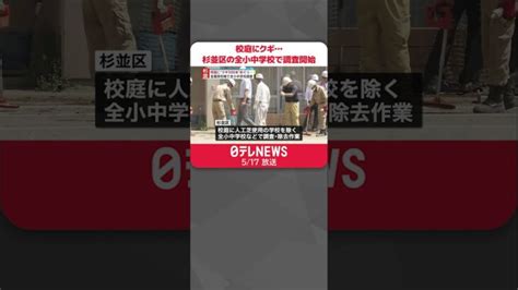 【調査開始】校庭に“クギ500本”めぐり 杉並区の全小中学校 Shorts │ 【気ままに】ニュース速報