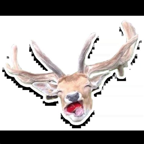 Sexy Animals — Whatsapp Stickers Pack