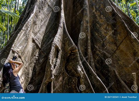 Young Woman With Shoulder Bag And Using A Camera To Take Photo Giant