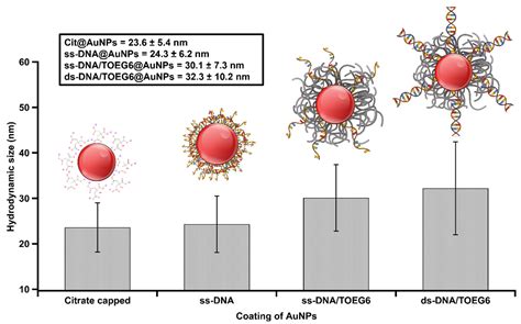 Dna Directed Protein Anchoring On Oligo Alkanethiol Coated Gold Nanoparticles A Versatile