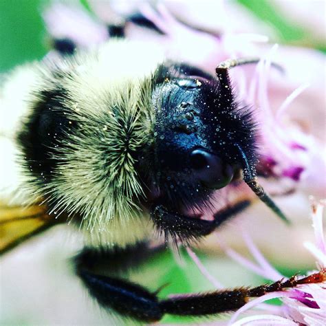 Macro Fun Times R MacroPorn