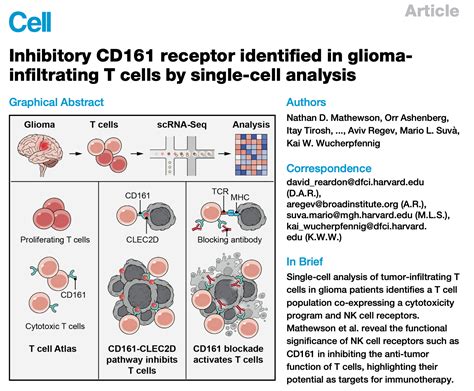 单细胞转录组文献分析方法[八] Inhibitory Cd161 Receptor Identified In Glioma Infiltrating T Cells By Single