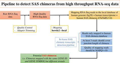 Figure 1 From Computational Analysis Of Sense Antisense Chimeric Transcripts Reveals Their