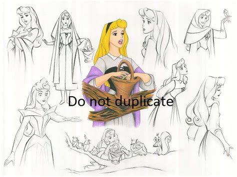 Sleeping Beauty Montage Princess Aurora Briar Rose X Lupon Gov Ph