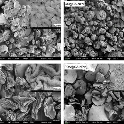 Surface Morphology Of Microencapsulated Preparations Under Light