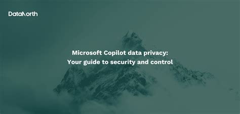 Microsoft Copilot Data Privacy Datanorth Ai