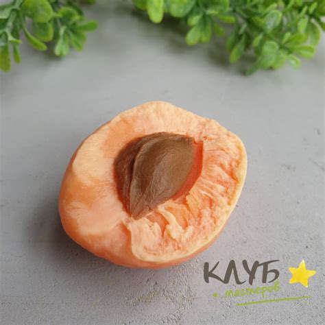 Абрикос с косточкой, форма силиконовая купить в интернет-магазине Клуб ...