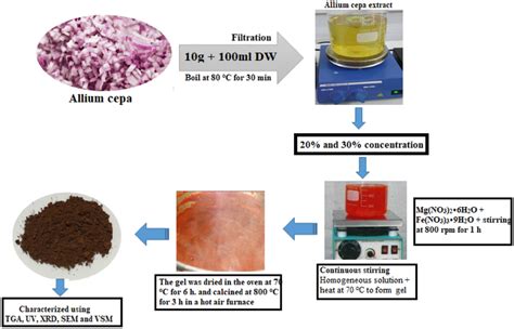 Schematic Diagram Showing The Synthesis Procedures Download Scientific Diagram